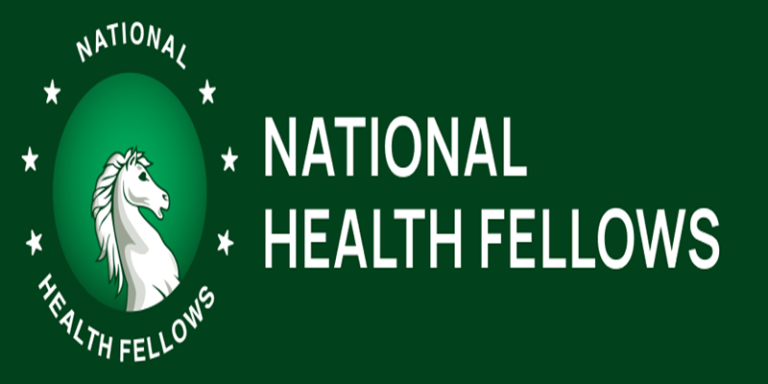 National Health Fellows Programme 2025 for Young Nigerians