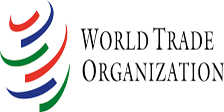 The World Trade Organization (WTO) Young Trade Leaders Programme 2025 ...